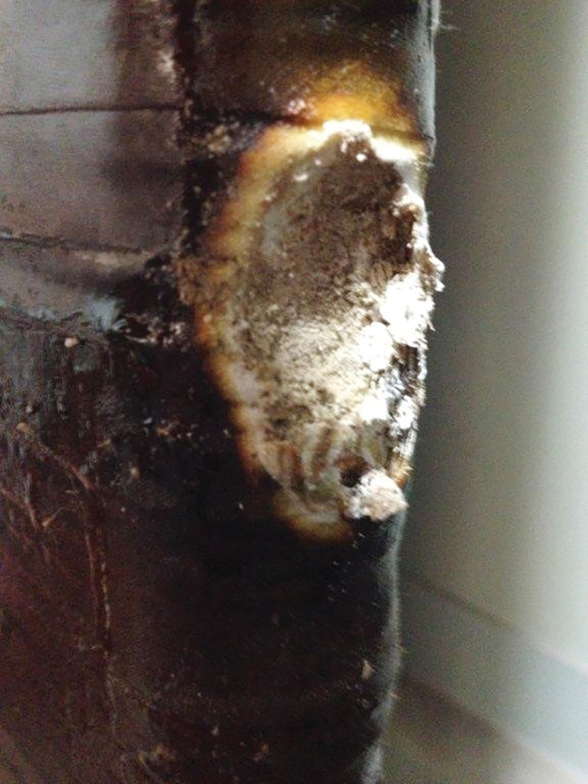 Real-World Causes of Partial Discharge - NETAWORLD JOURNAL